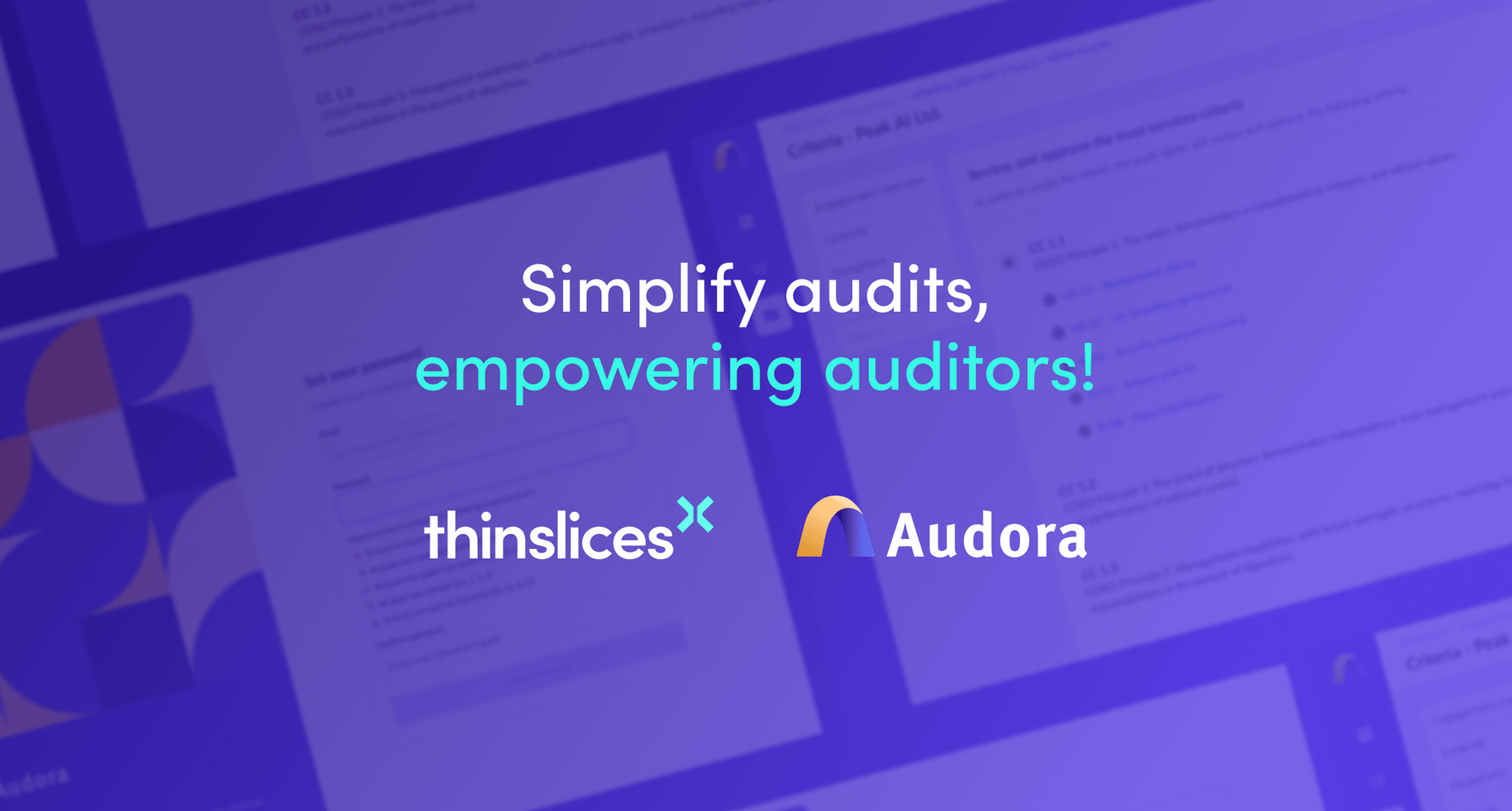 Thinslices & Audora - Bringing automation in the audit world